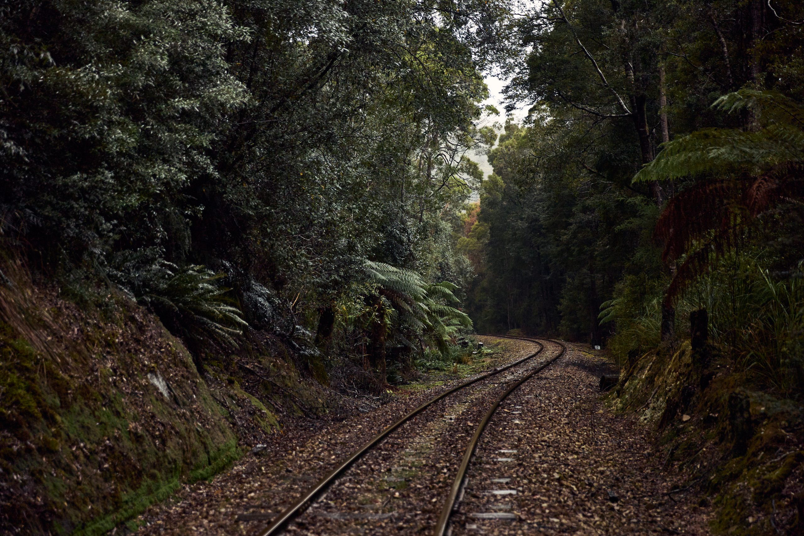 Cryptic Falls Express - Coming soon - West Coast Wilderness Railway